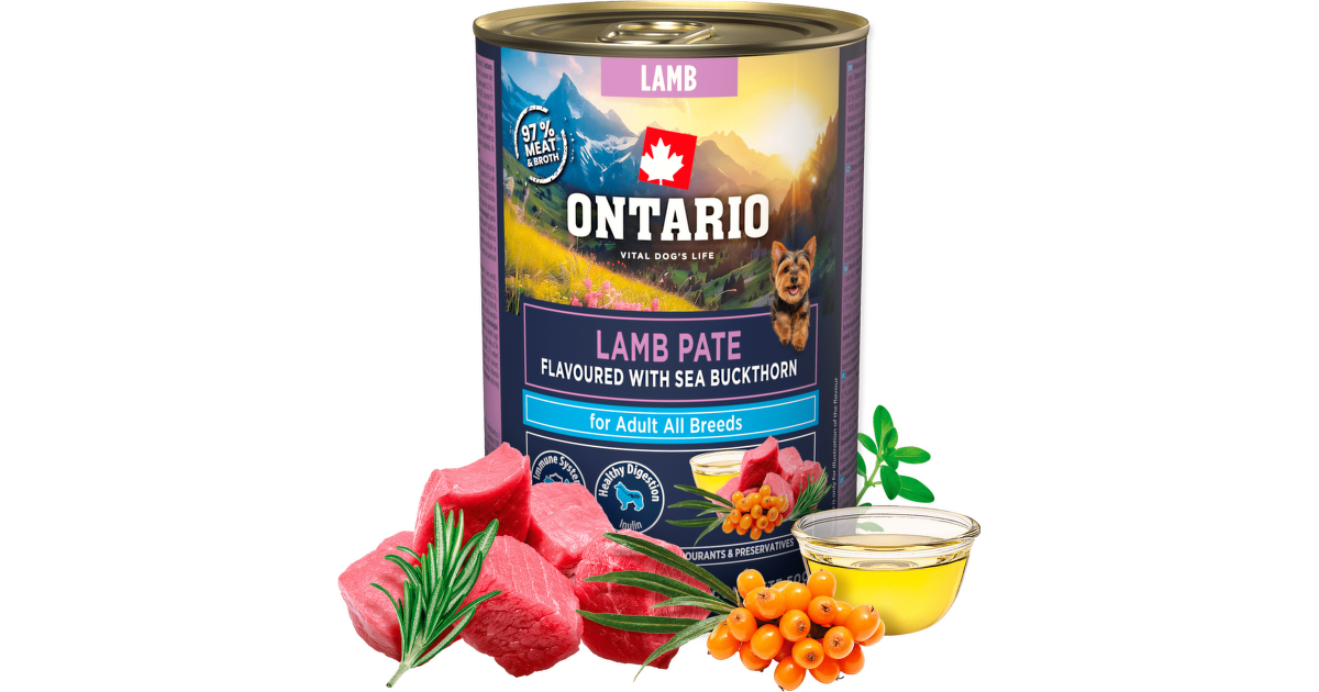 Konservi suņiem Ontario Lamb Pate with Sea Buckthorn, 400 g | Dino Zoo