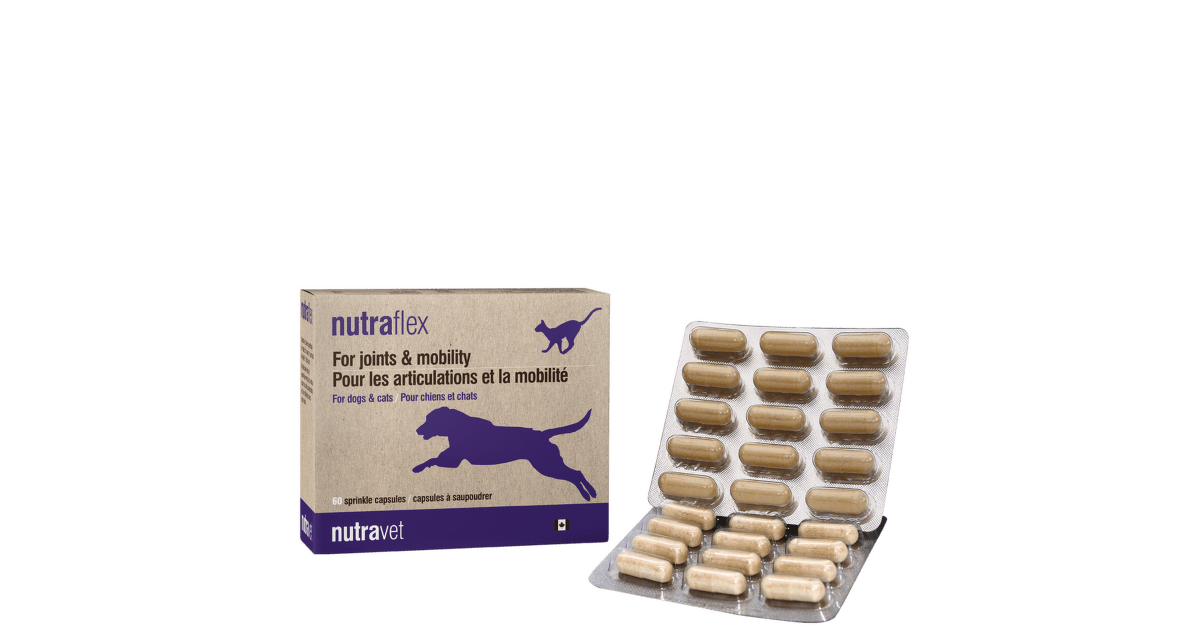 Vitamīni Nutravet Nutraflex vitamīni suņu un kaķu locītavām | Dino Zoo