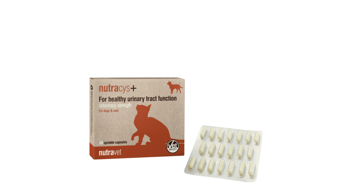 Vitamīni Papildbarība suņiem un kaķiem Nutravet Nutracys+ N20 | Dino Zoo