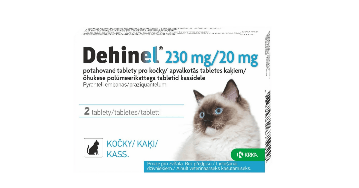 Pretparazītu līdzeklis Prettārpu zāles kaķiem DEHINEL Cat N2 | Dino Zoo