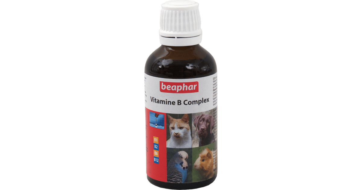 Vitamīni Vitamīni dzīvniekiem Beaphar Vitamin B-complex, 50 ml | Dino Zoo