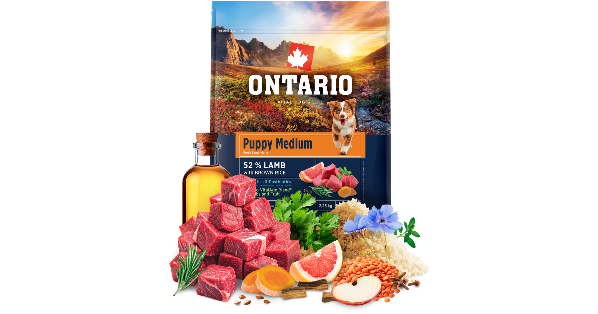 Granule pre psov Ontario Puppy Medium Lamb & Brown Rice 2,25kg | Super zoo