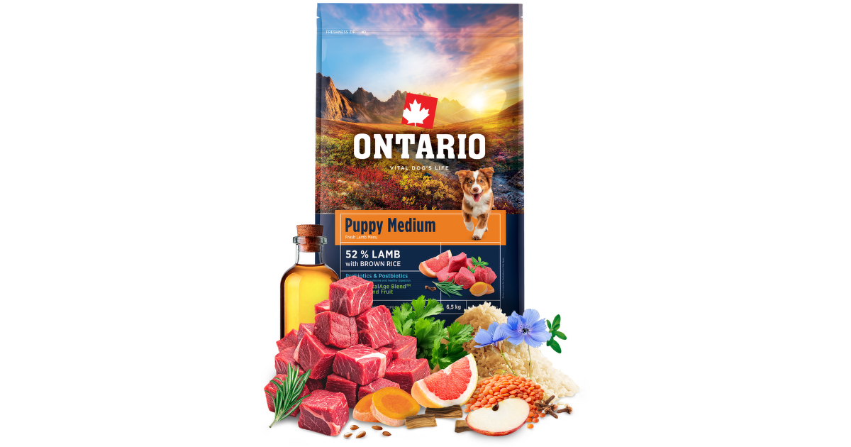 Granule pre psov Ontario Puppy Medium Lamb & Brown Rice 6,5kg | Super zoo