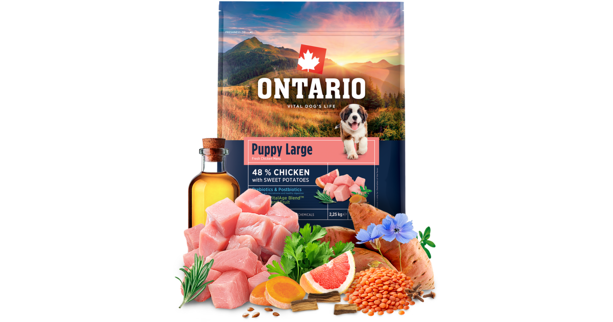 Granule pre psov Ontario Puppy Large Chicken & Sweet Potatoes 2,25kg ...