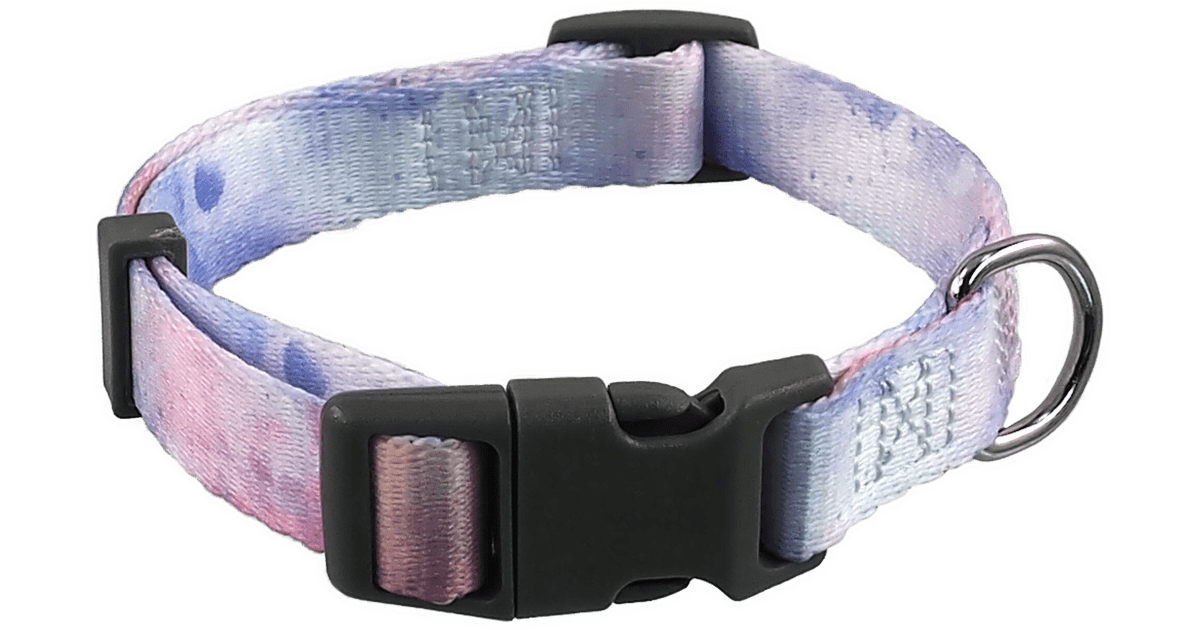 Obojky Dog Fantasy obojok Gump L | Super zoo