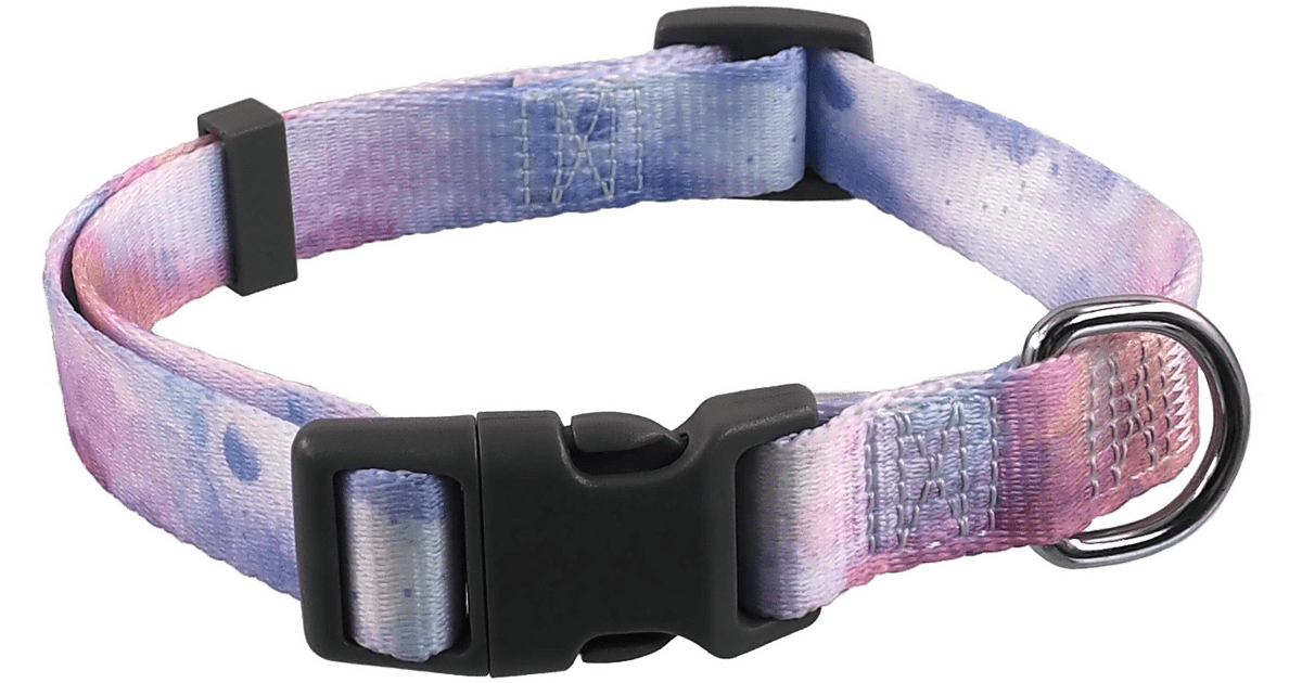 Obojky Dog Fantasy obojok Gump M | Super zoo