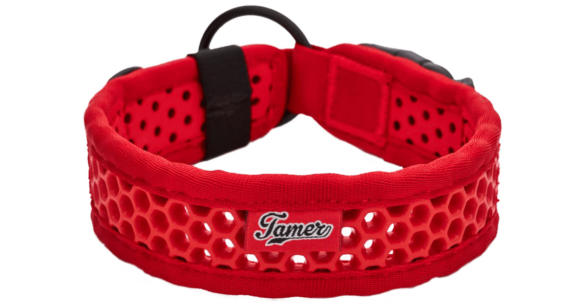 Obojky Tamer Softy obojok 3,8x41cm červený | Super zoo