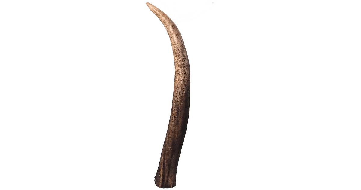 Pochoutky pro psy Paroh Ontario jelení pamlsek pro psy S | Super zoo