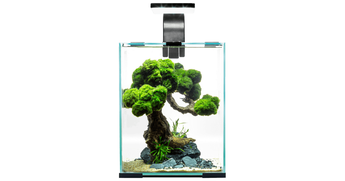 Akvarijné sety AQUAEL Akvarium set Shr. Smart DN 20x20x25cm, 10l čierne ...