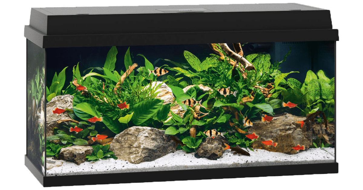 Akvárium Akvárium set Primo LED 110 černé | Super zoo